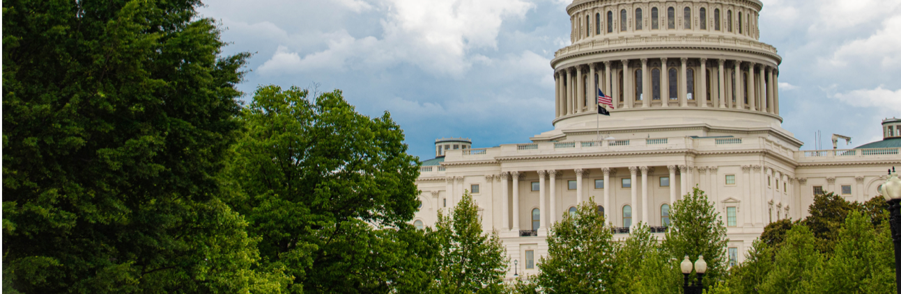 Issues | Senator Welch